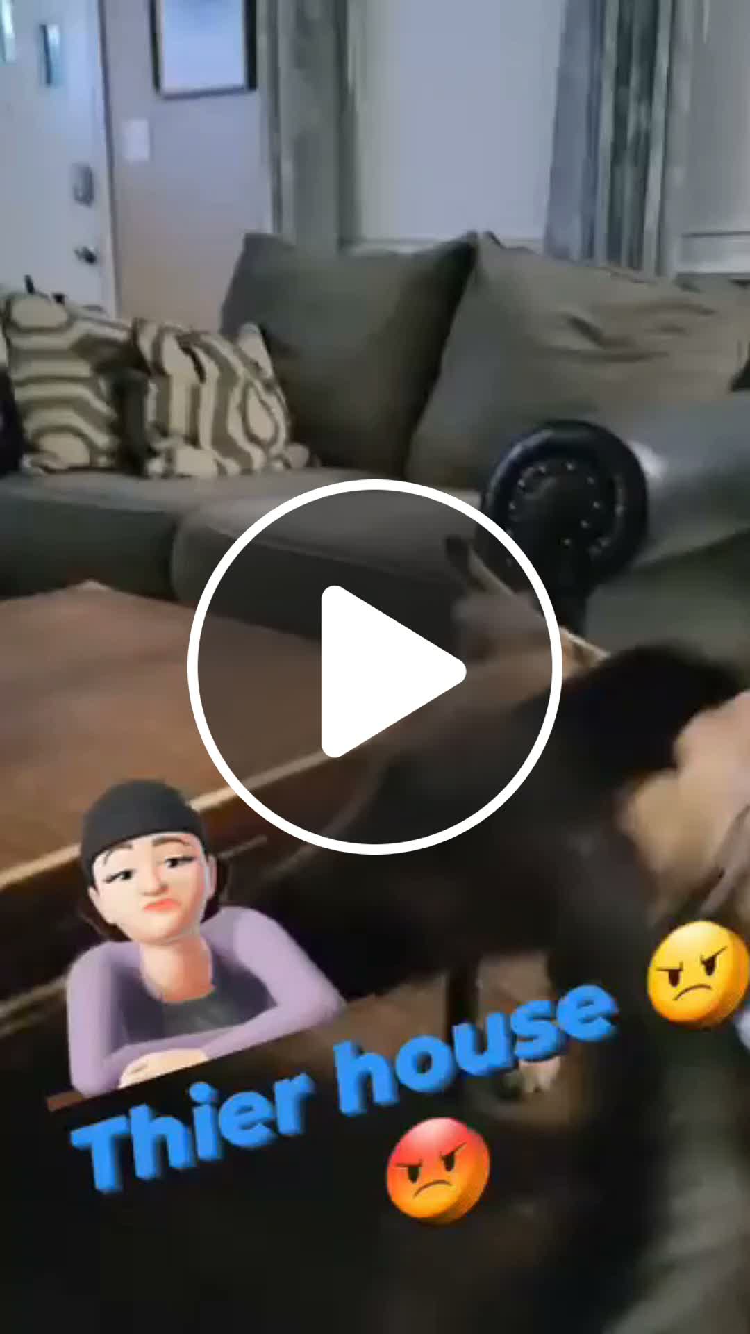 the girl honey noodles nova😡thier house - NewsBreak