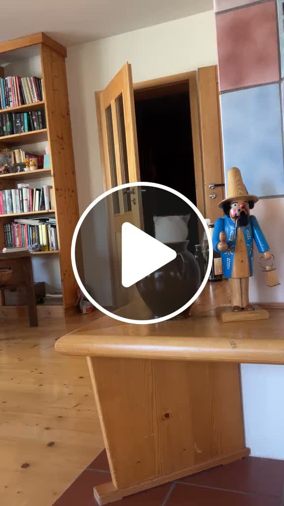 beep beep beep #cat #catlover - NewsBreak