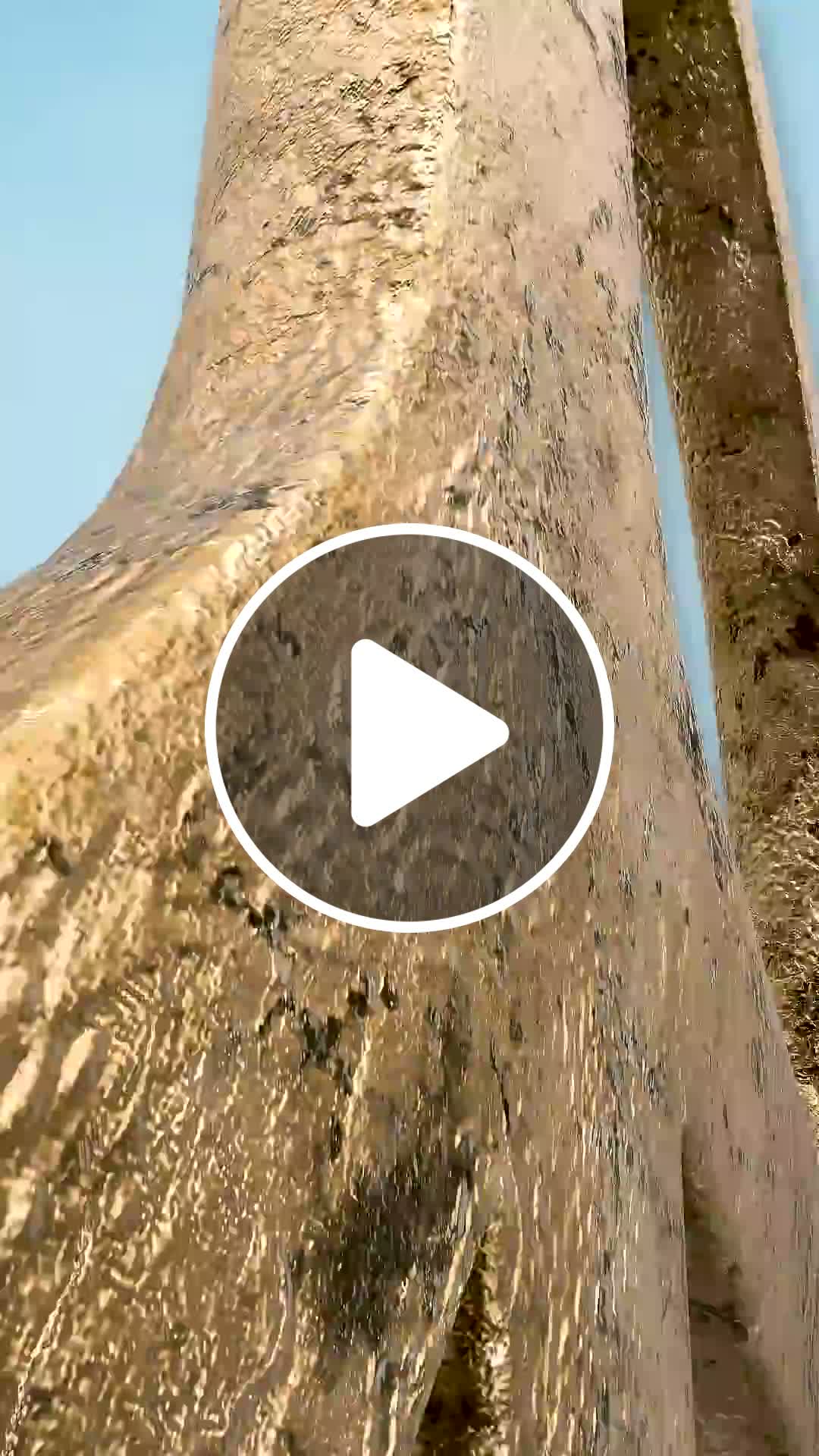 The Truth Behind The Peace Symbol 😨 - NewsBreak