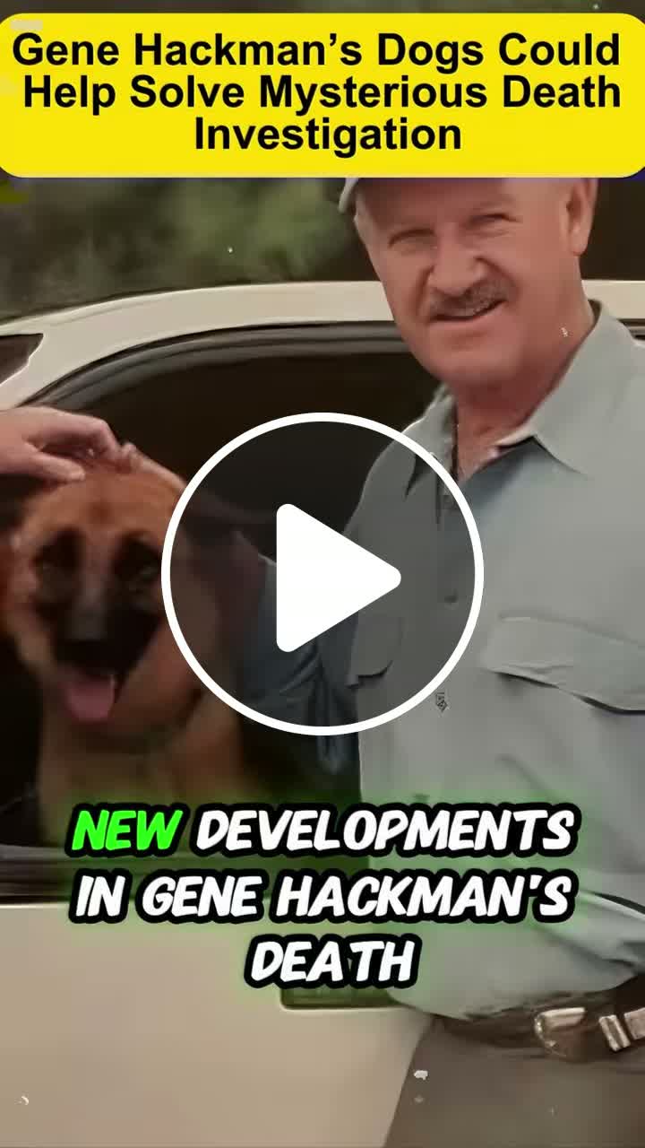 Gene Hackman Dogs could help solve Mysterious Death Investigation #Ge ...