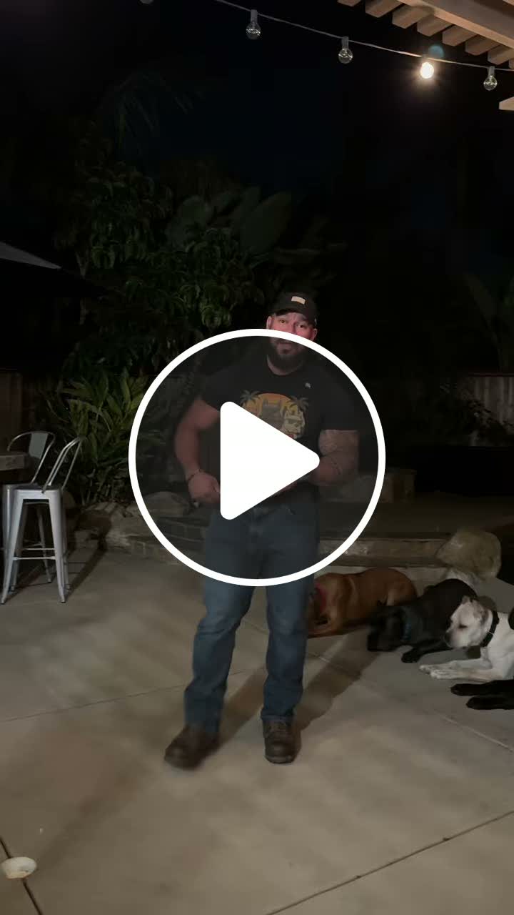 Feeding time with the DWA Cane Corso pack—4 giant pups, perfect routine ...