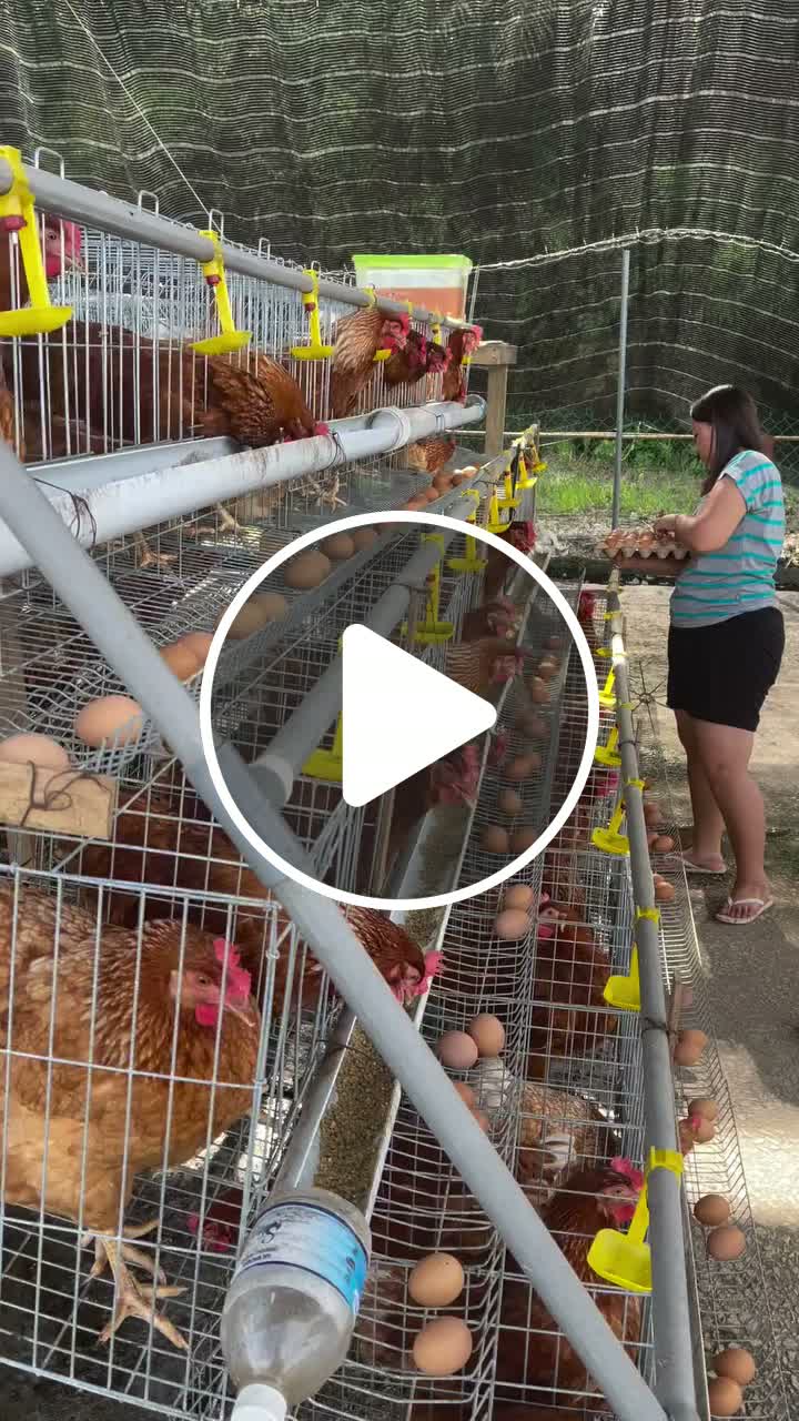 Judge Gives Warning About Barron Trump's Account of Alleged Attack ...