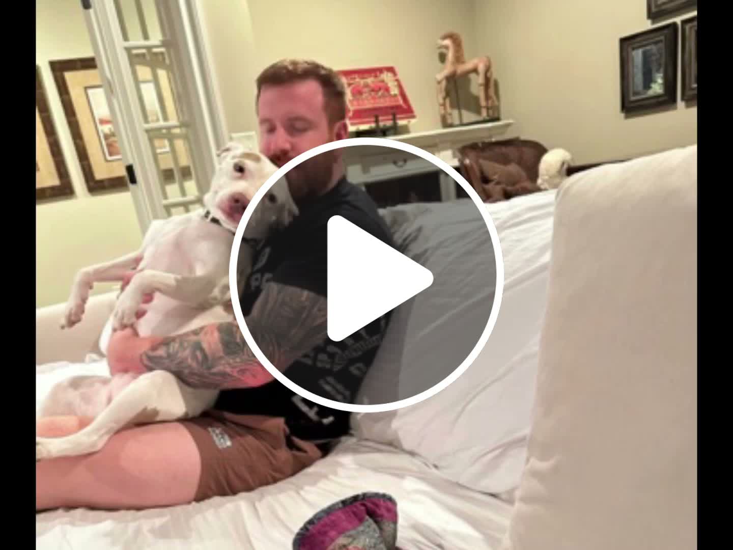 Big hugger ..Y’all Meet Mack( Bullmastiff) - NewsBreak