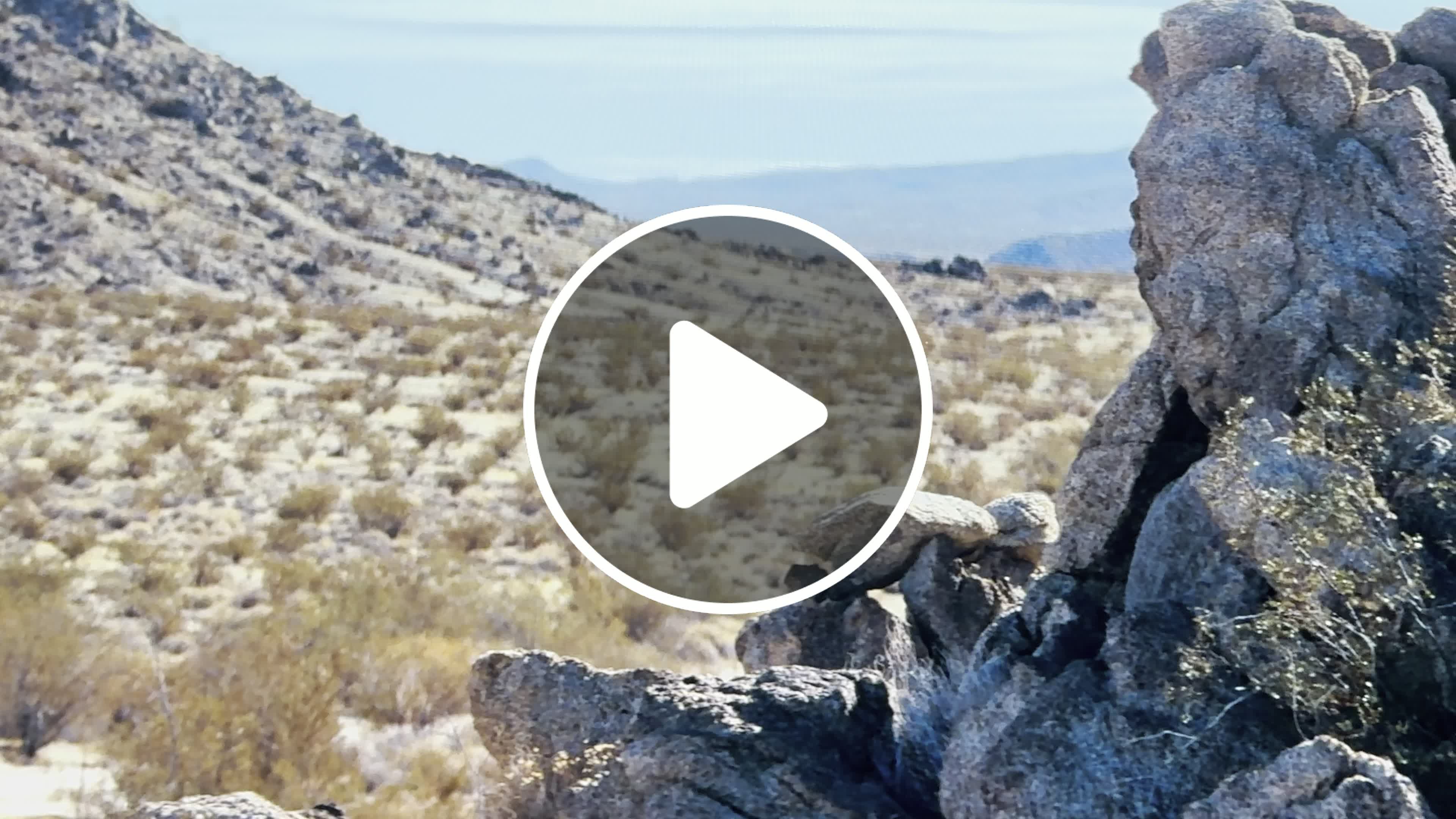 Fallout season two episode two - NewsBreak