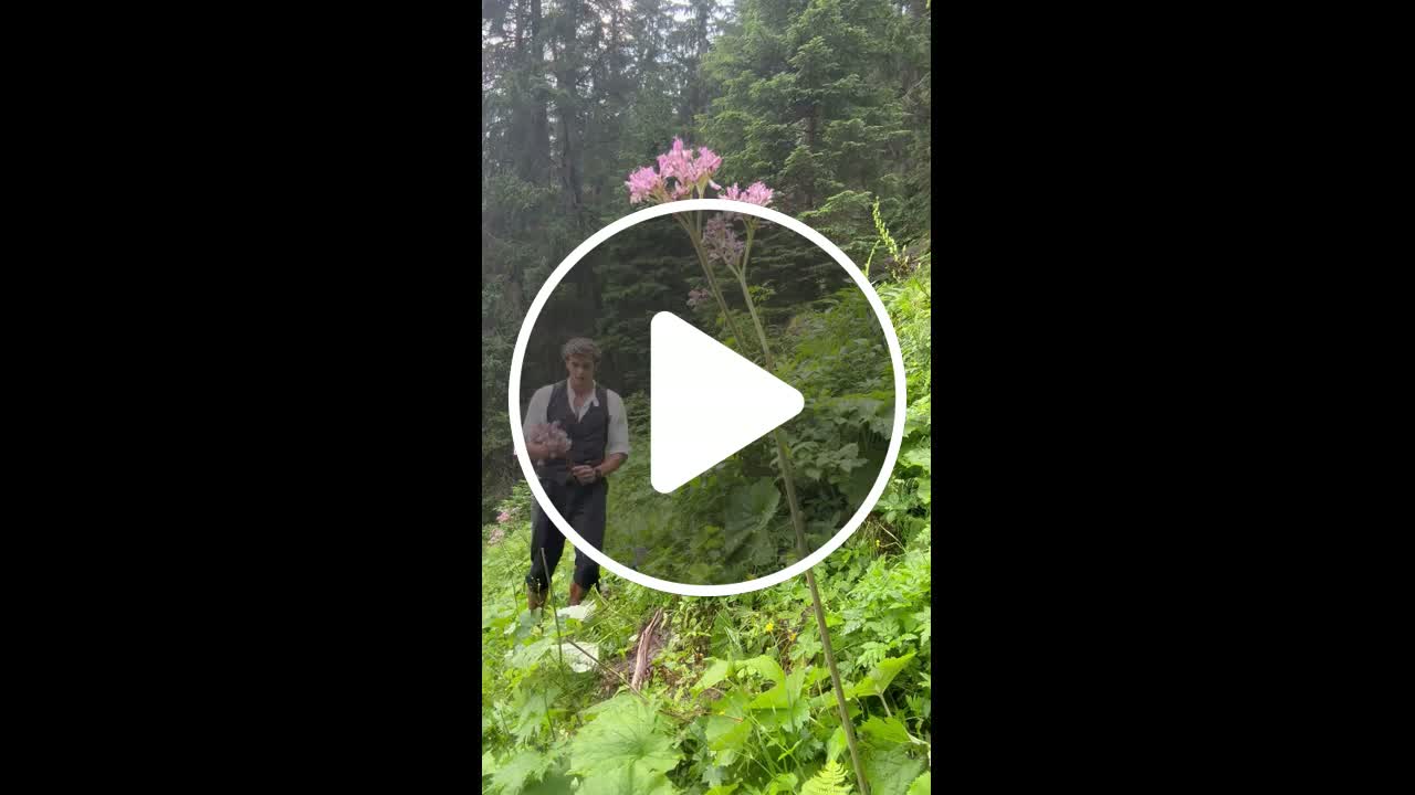 Clumsy Romantic Falls While Picking Flowers - NewsBreak