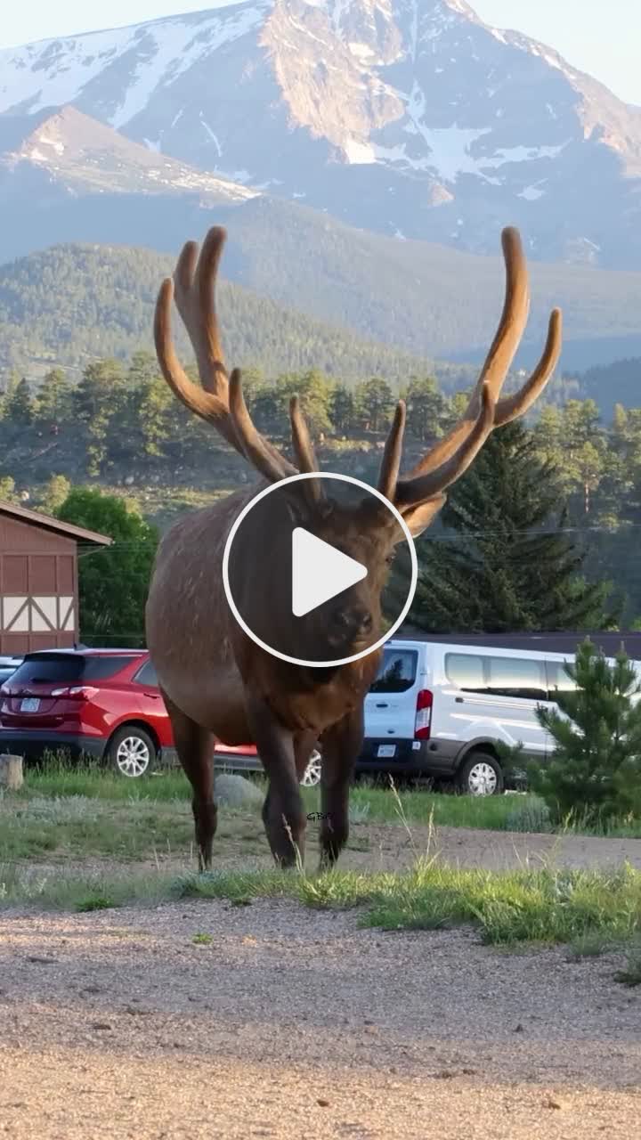 “Brick Lady” found guilty after lying about being attacked — she was ...