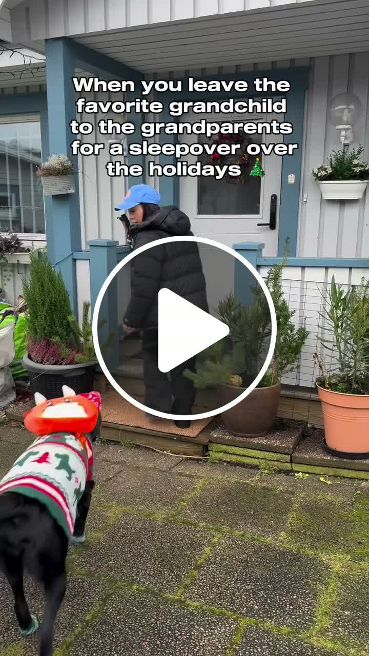 A beautiful Christmas drop off.🌲🥰 - NewsBreak