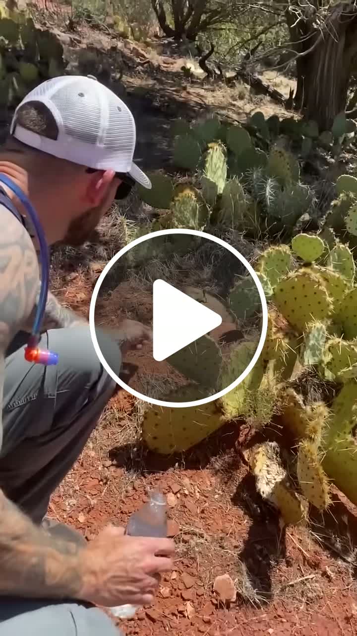 Guy giving water to thirsty lizard in the desert - NewsBreak