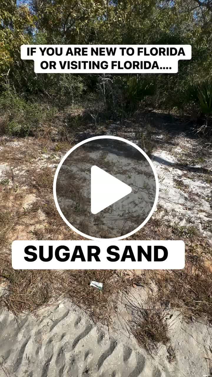 Gospel singer Richard Smallwood dies at 77, leaving a legacy that ...