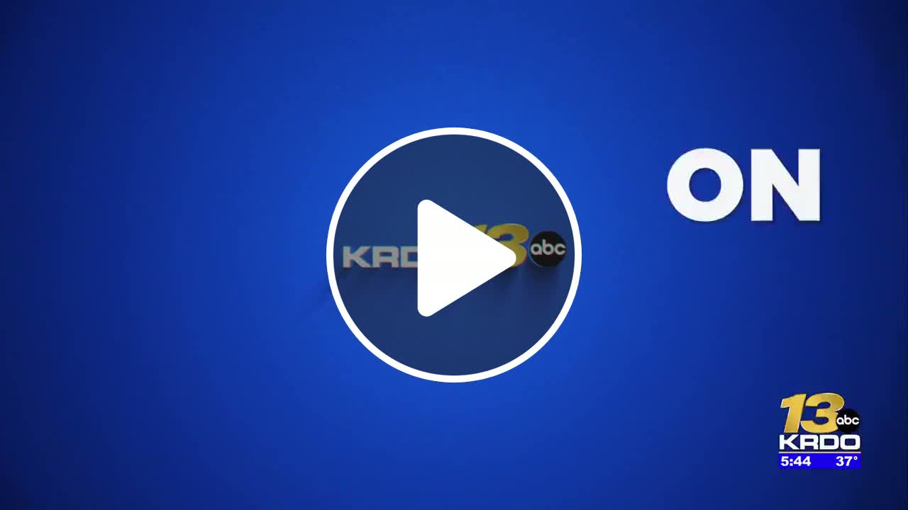 Meet Nix, the local shelter dog who’s the only Colorado pup competing ...