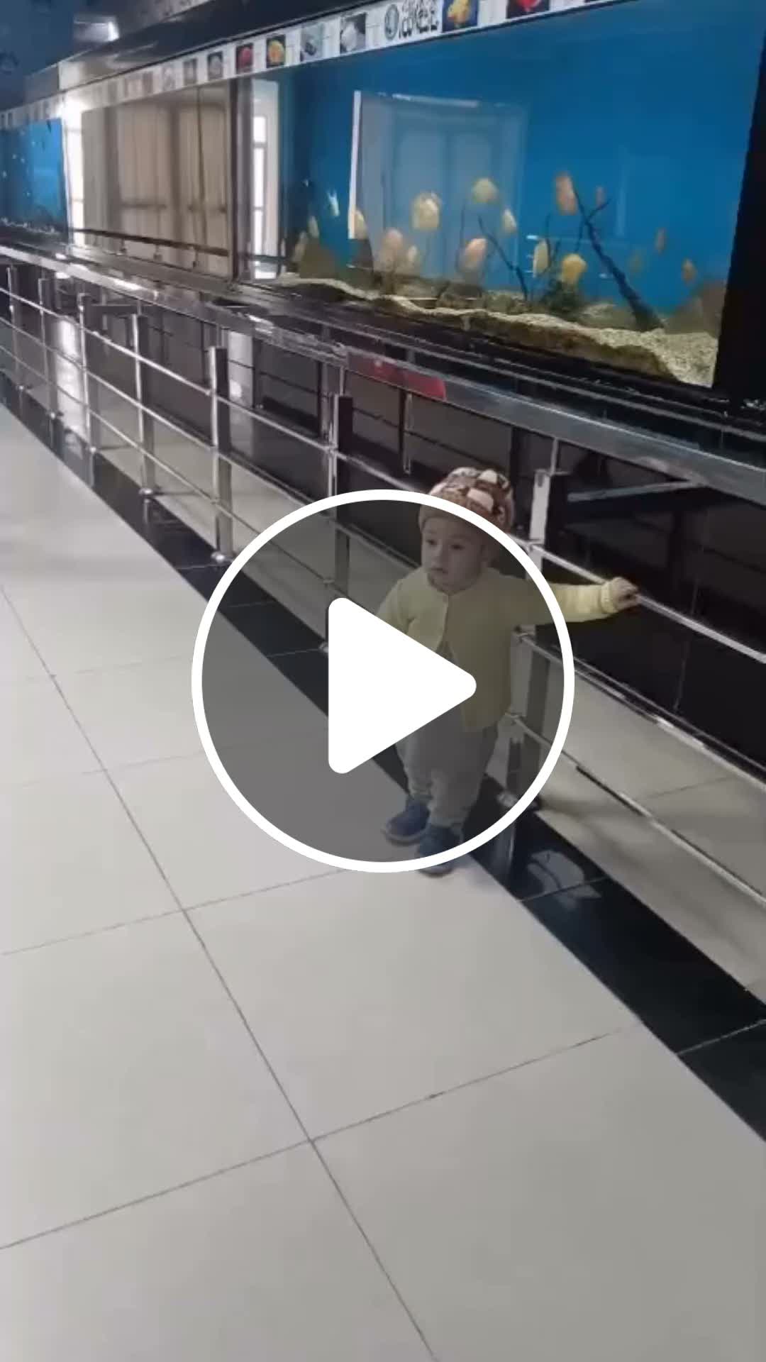 Ahhhh #memes #reels #scare #funny #foryoupage - NewsBreak