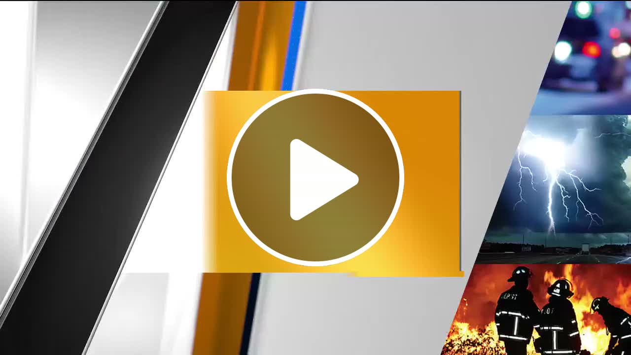 Oregon dog beats rare brain tumor after surgery - NewsBreak