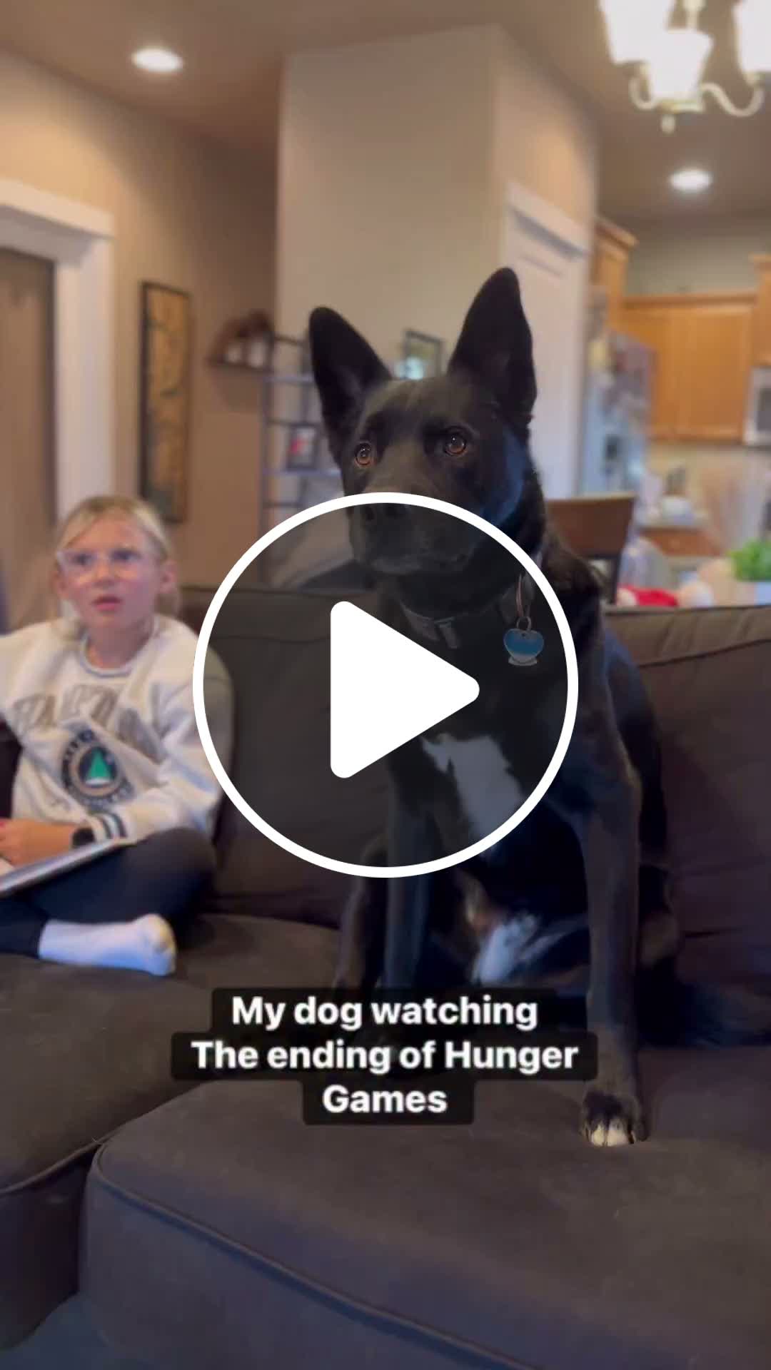 My dog watchingThe ending of HungerGames#UnpopularOpinion # ...