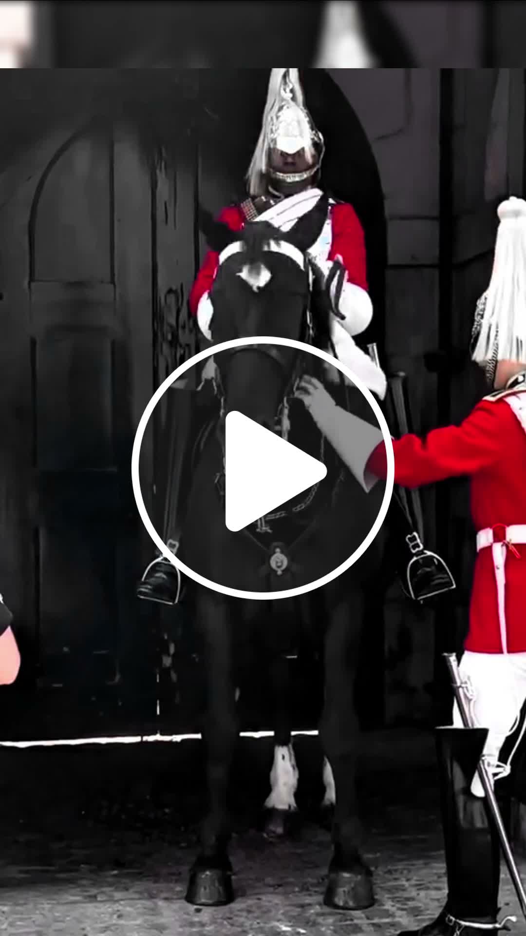 Emergency Situation Royal Guard’s Horse in Trouble - NewsBreak