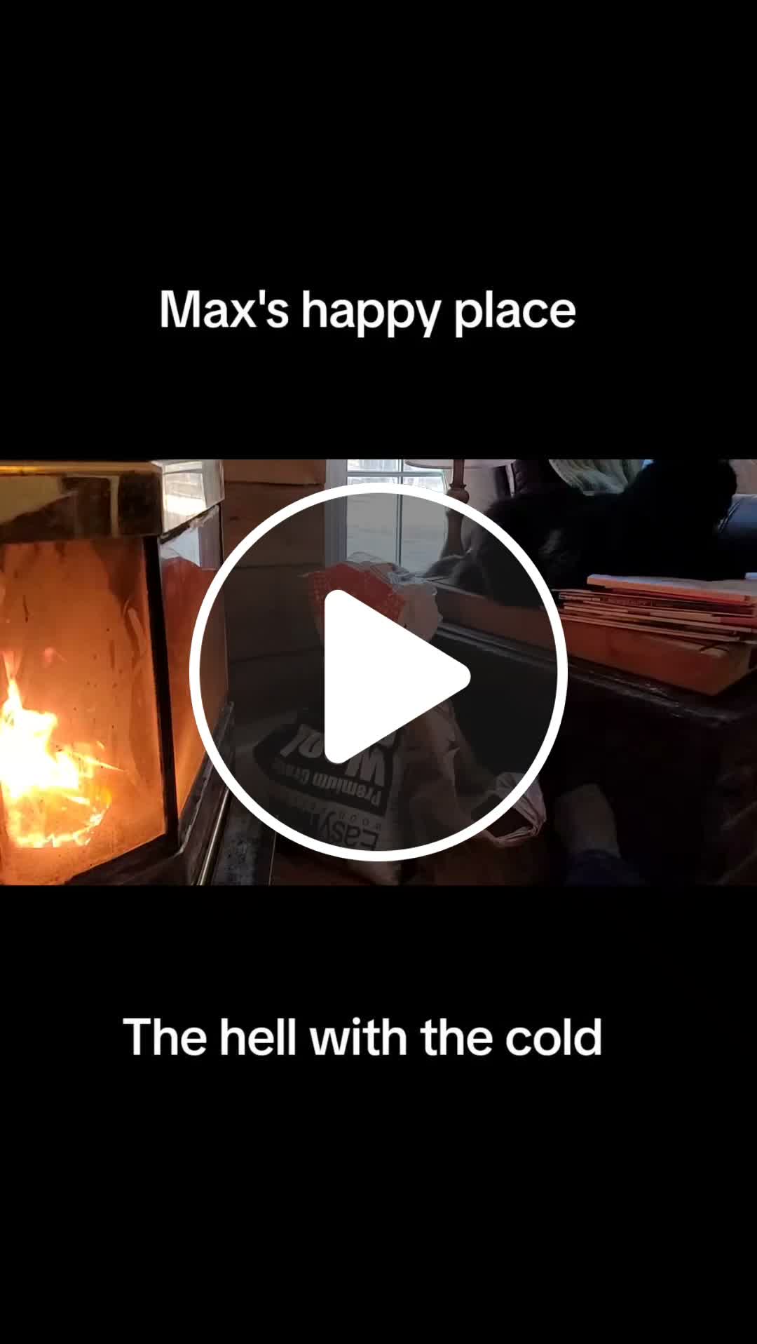 Some of us just not built for the cold😁 - NewsBreak