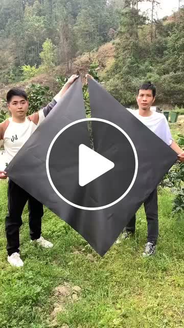 Curious about how gardening covers are making a difference - NewsBreak