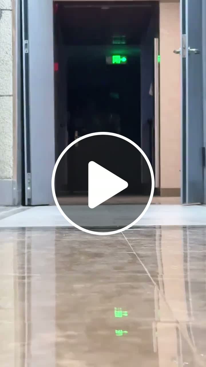 The cat became a mother for the first time - NewsBreak