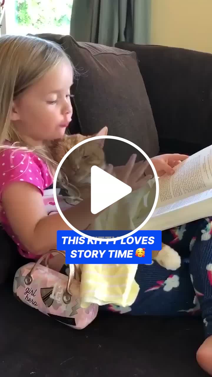 He loves story time with his bestie - NewsBreak