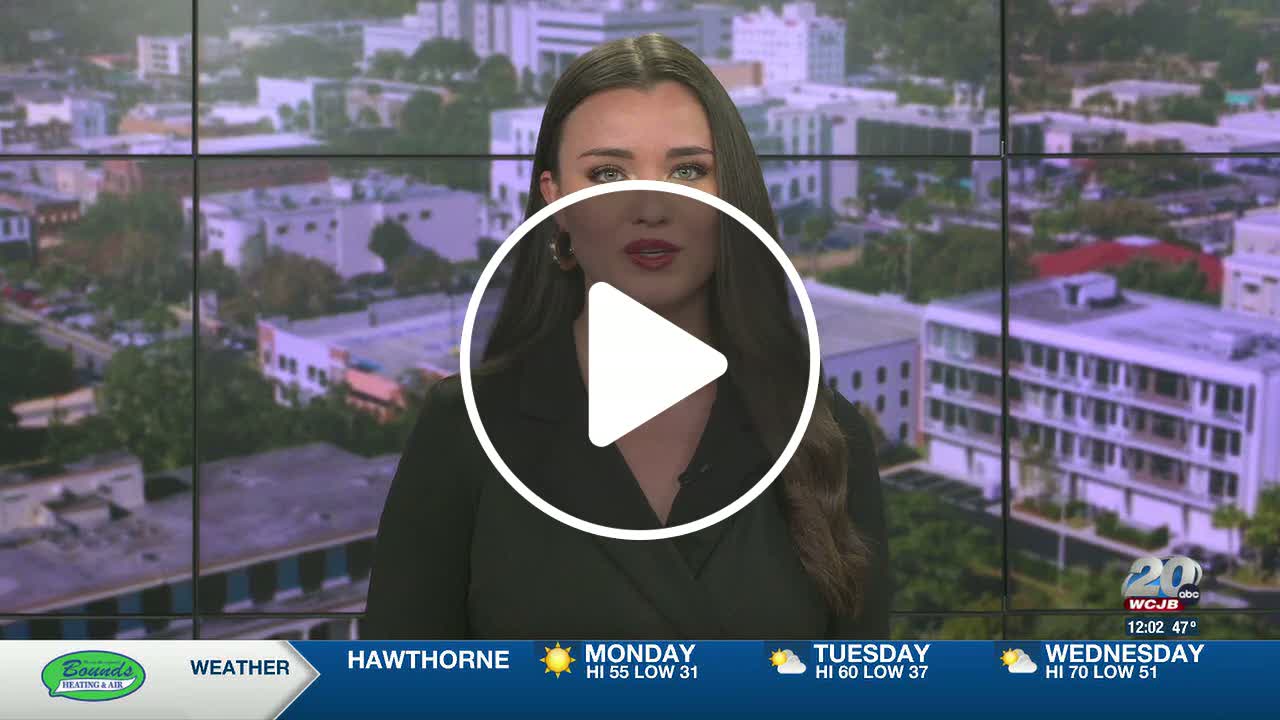 Martin Luther King Jr. Commemorative Commission of Ocala members hold ...