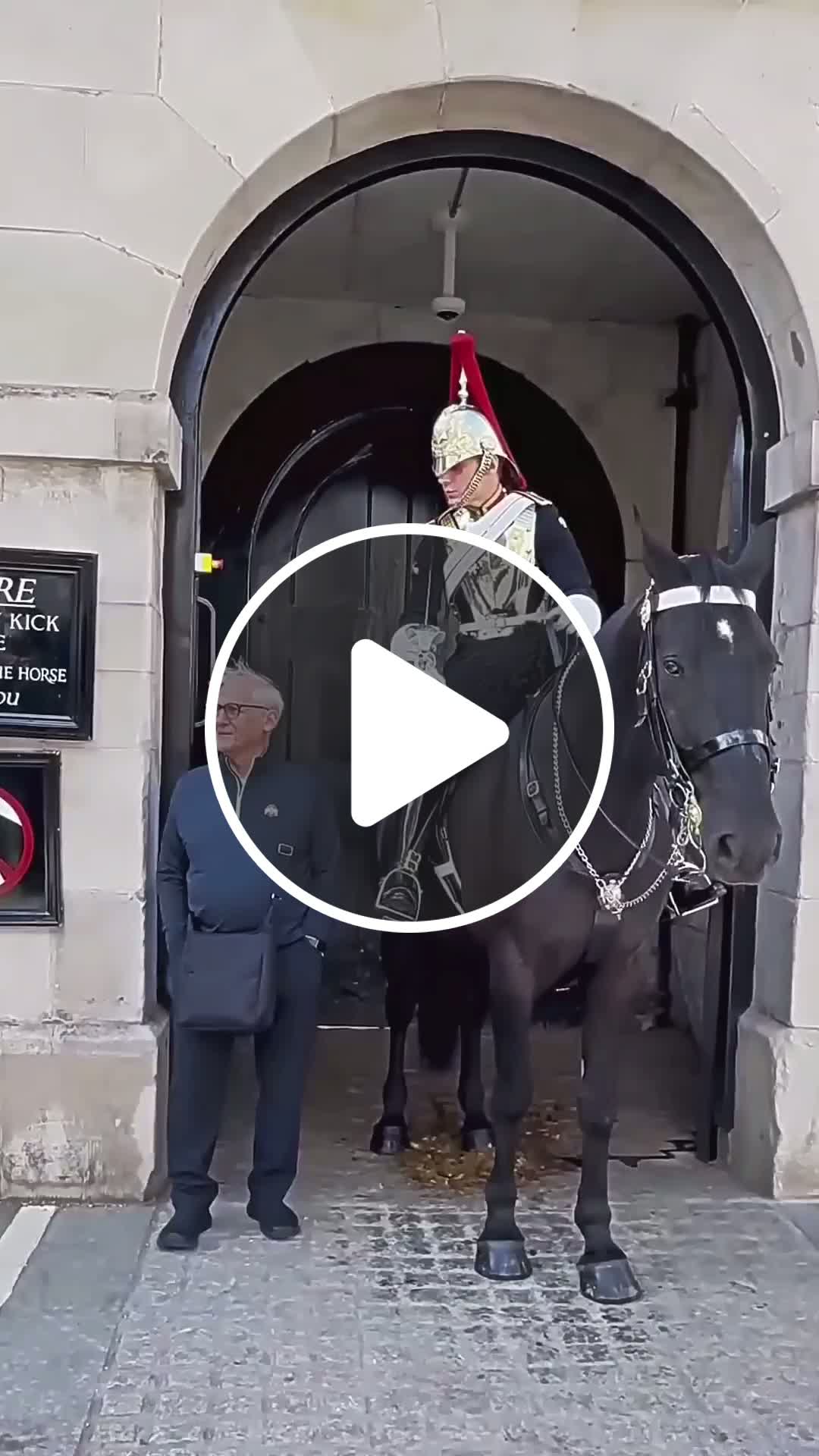 please respect 🙏 #kingsguard #horseguardsparade #peterellis # ...