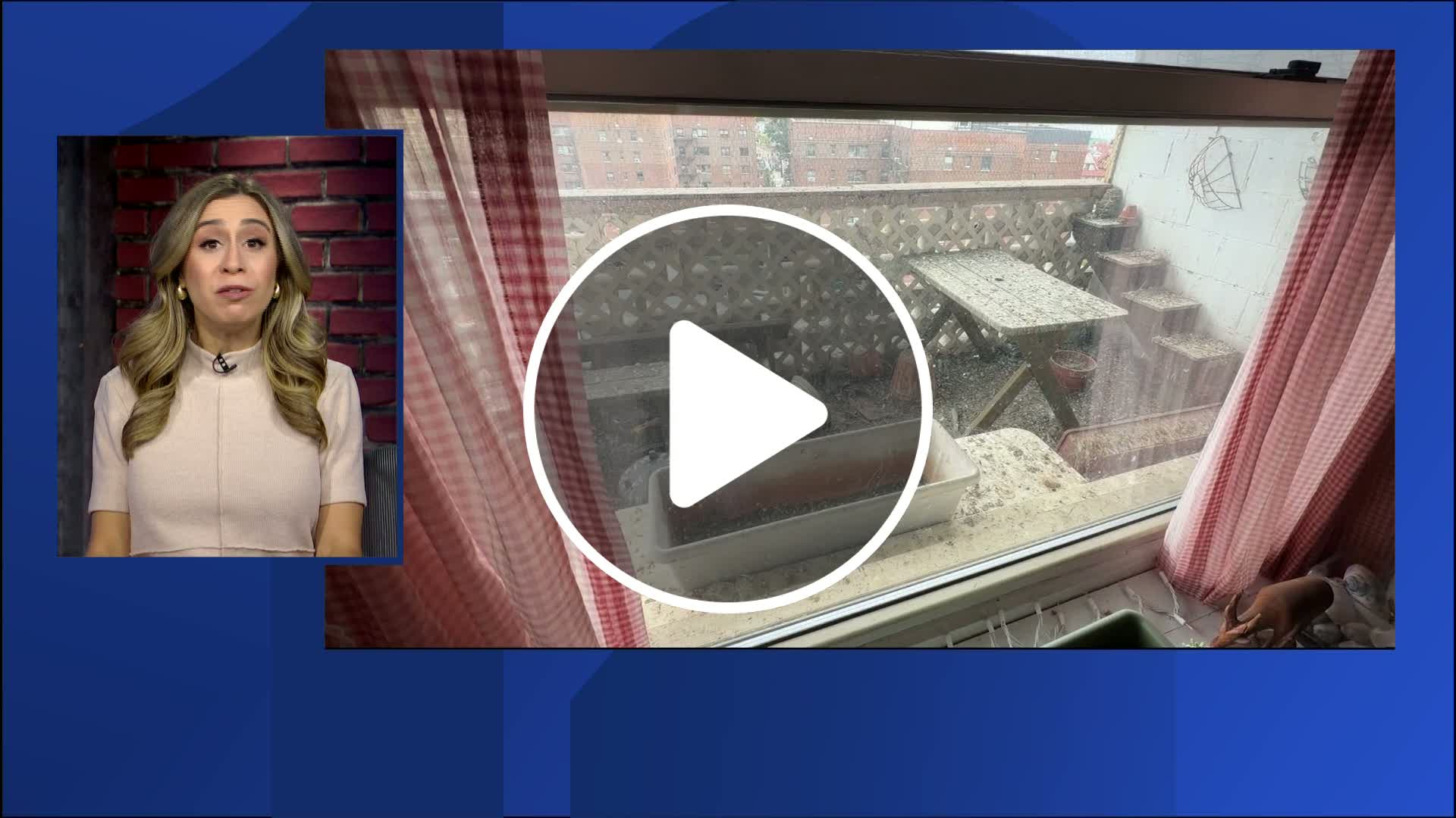 Toxic terrace: Pigeon poop on Brighton Beach balcony becomes biohazard ...