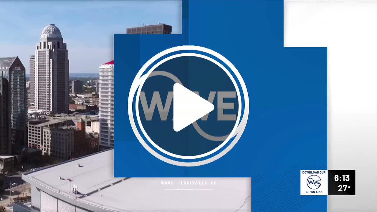 Metro Animal Services holds drive-thru microchip clinic - NewsBreak