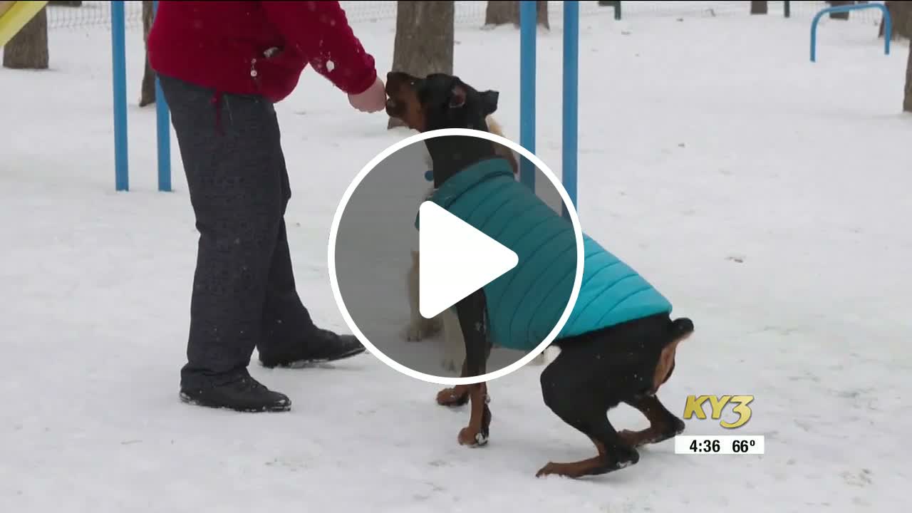 Community Partnership of the Ozarks seeks volunteers for homeless count ...