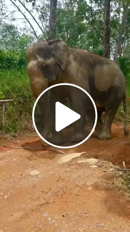 The climbing over.what could be in his mind? or he thought was a snake ...