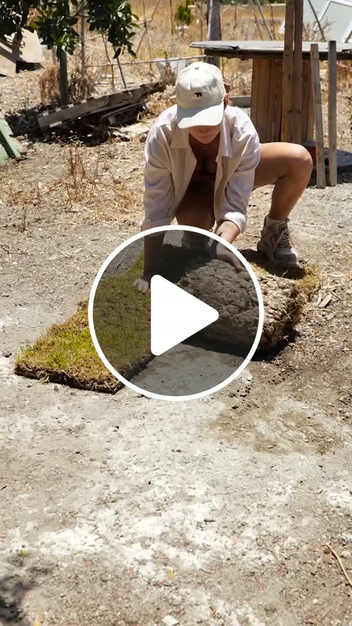 Farm life raising happy chickens - NewsBreak