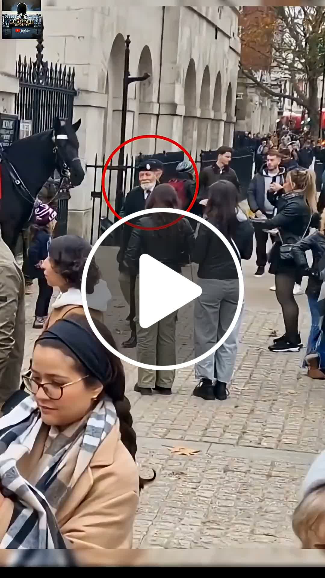 He Froze in Place… Out of Pure Respect 🫡 - NewsBreak