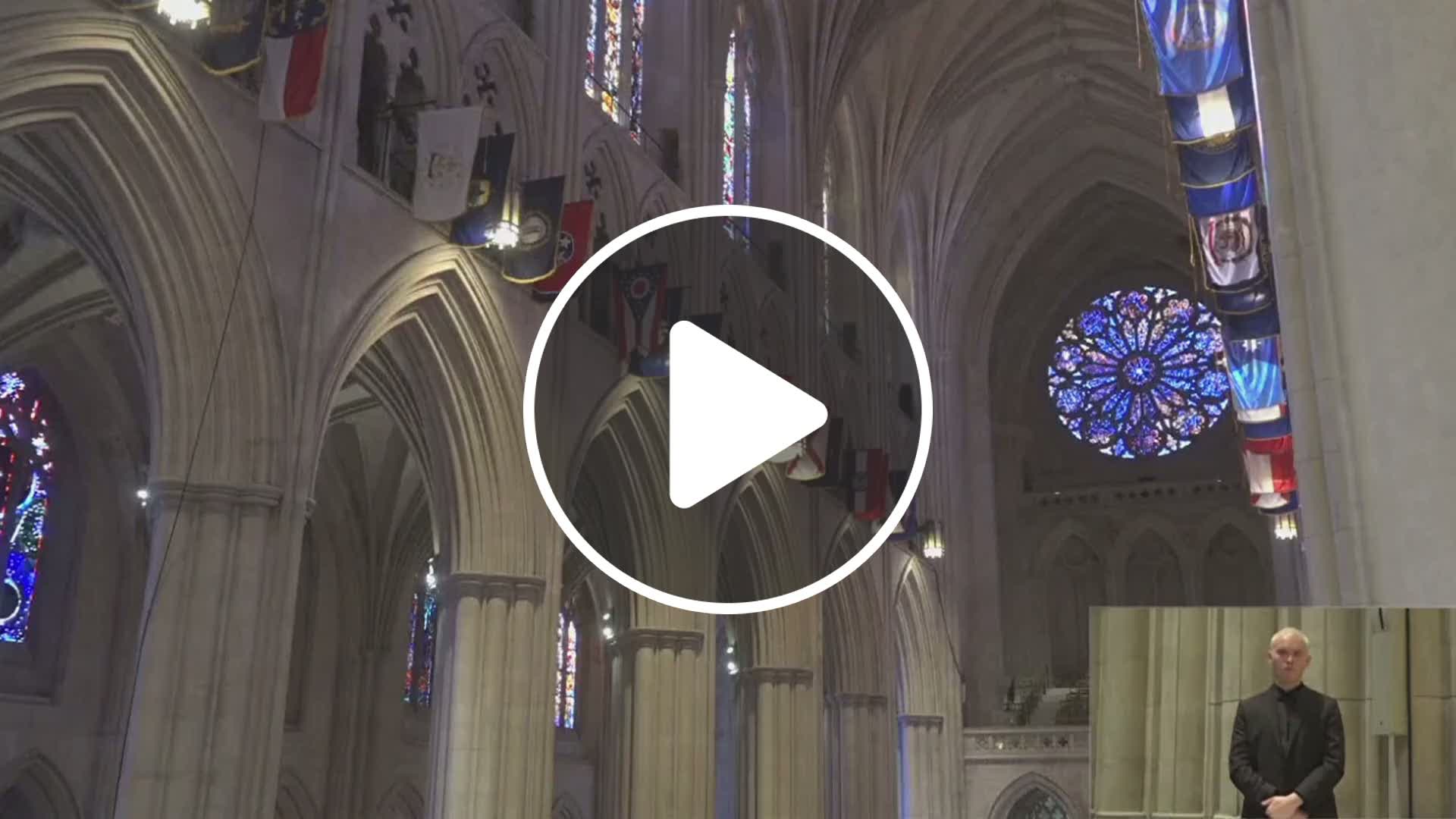 Leonardo DiCaprio's touching tribute to Jane Goodall - NewsBreak