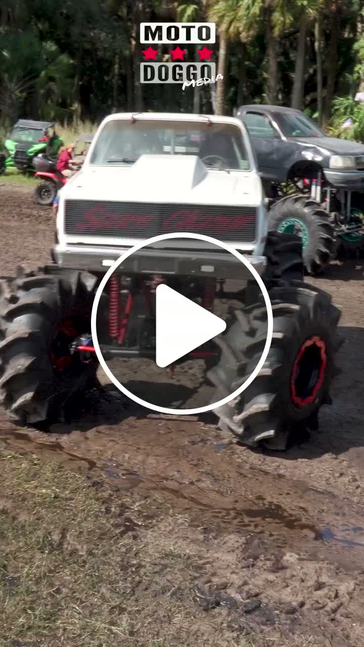 Terrified Illinois Woman Hauls Baseball Bat to Do Laundry at Her ...