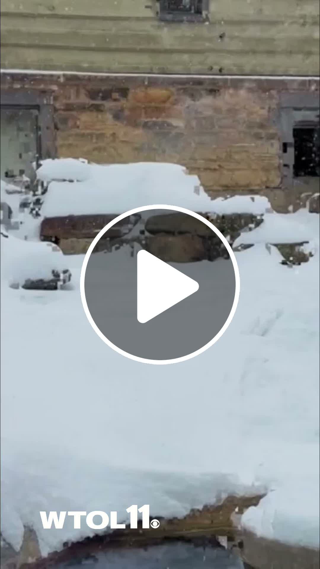 Winter at the Akron Zoo: How some of the most popular animals are ...