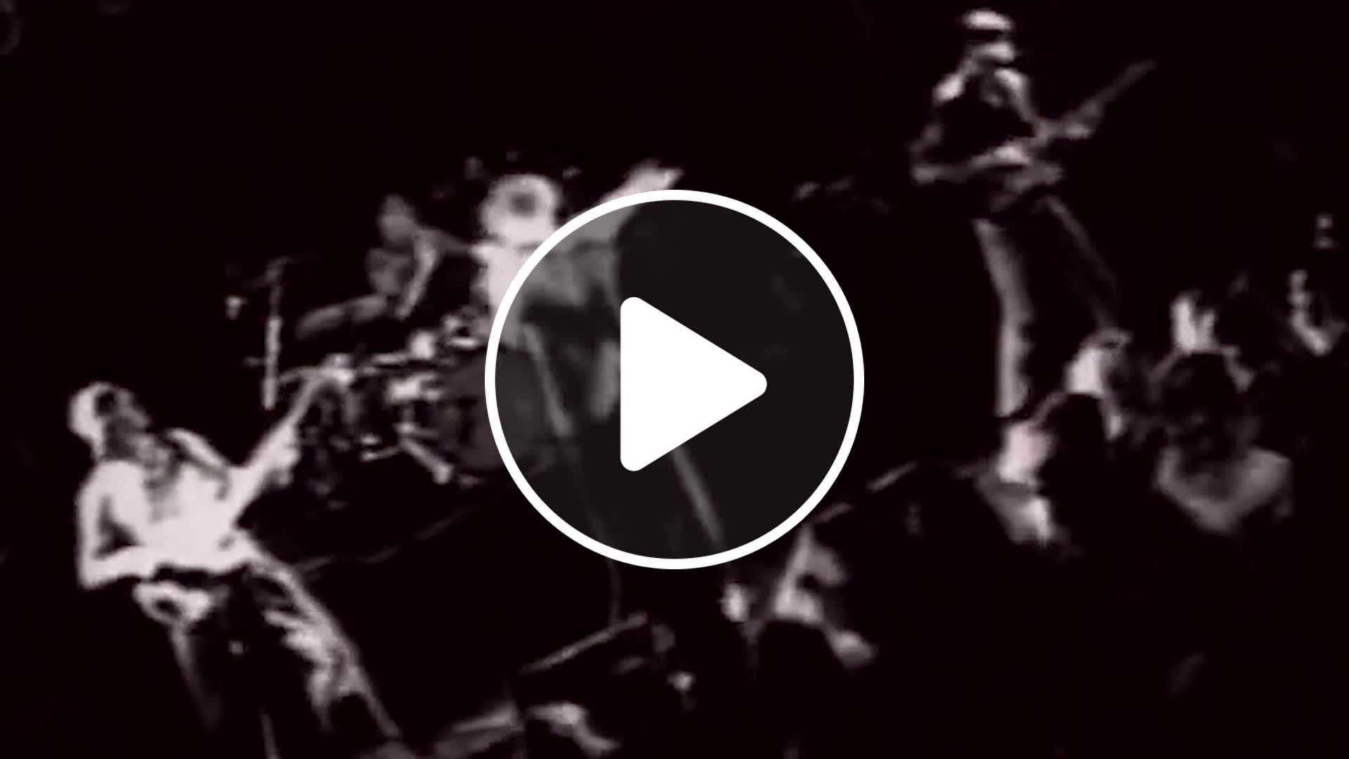 The Tragic Real-Life Story Of Rage Against The Machine - NewsBreak