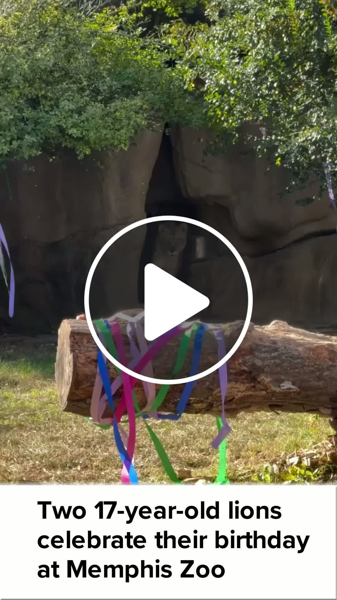 🏦 Interesting fact:Cleopatra (1963) — The film was so astronomically ...