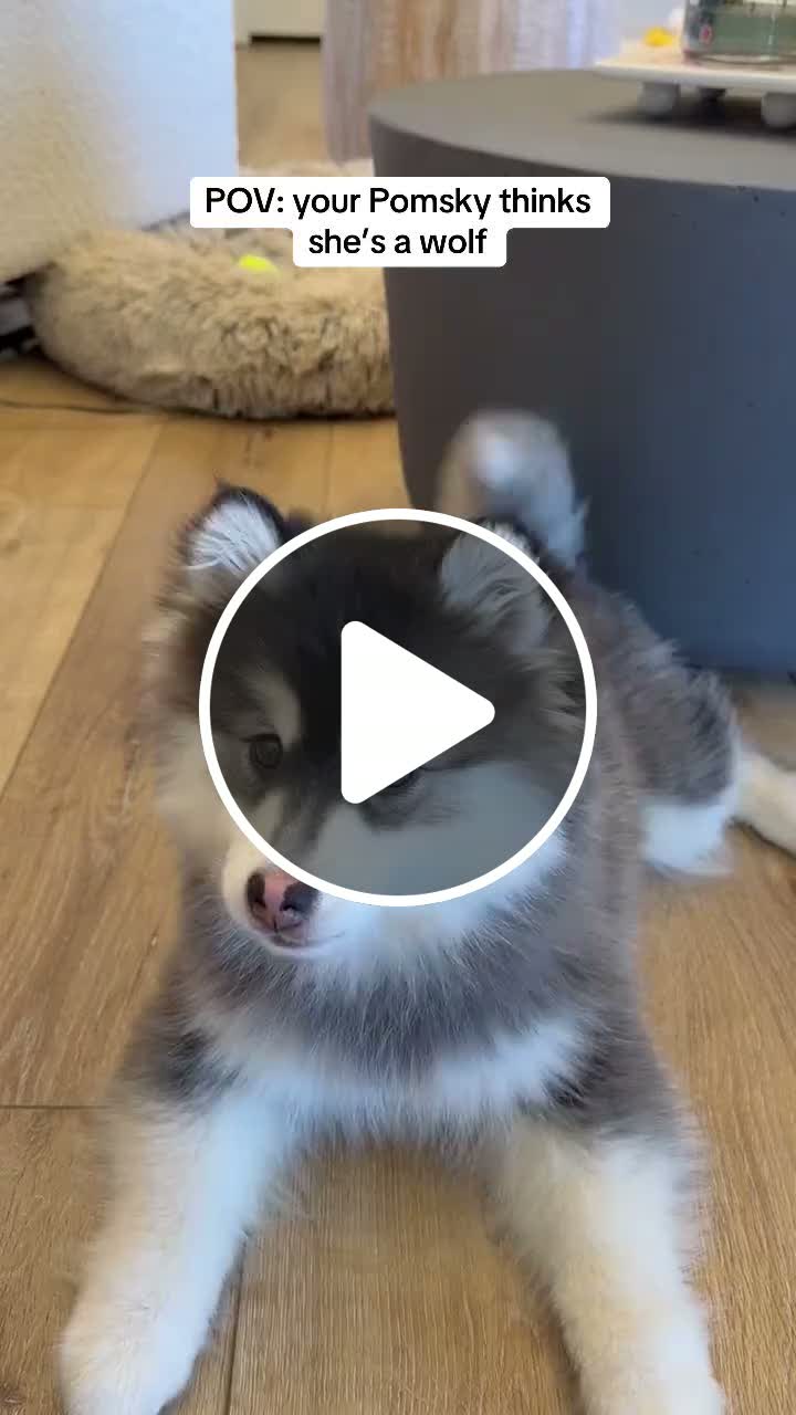 It’s the side eye for me at the very end 🤍🥰 - NewsBreak