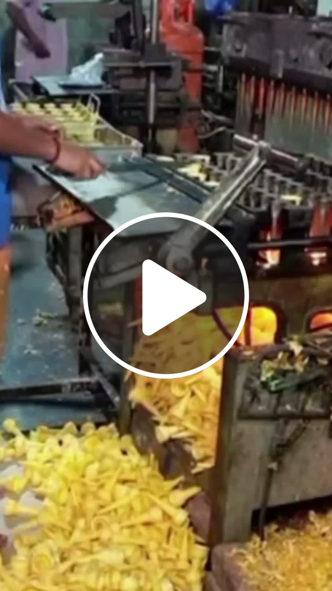 Crazy frog ️Crazy Vacuum cleaner ️ - NewsBreak
