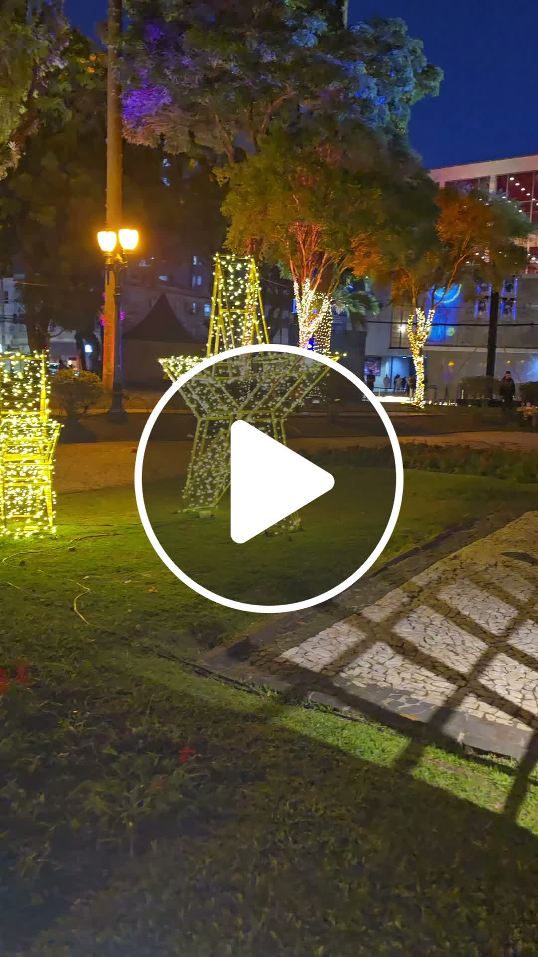 Daily 4: Battle of real vs fake Christmas trees, Chris Evans returns as ...