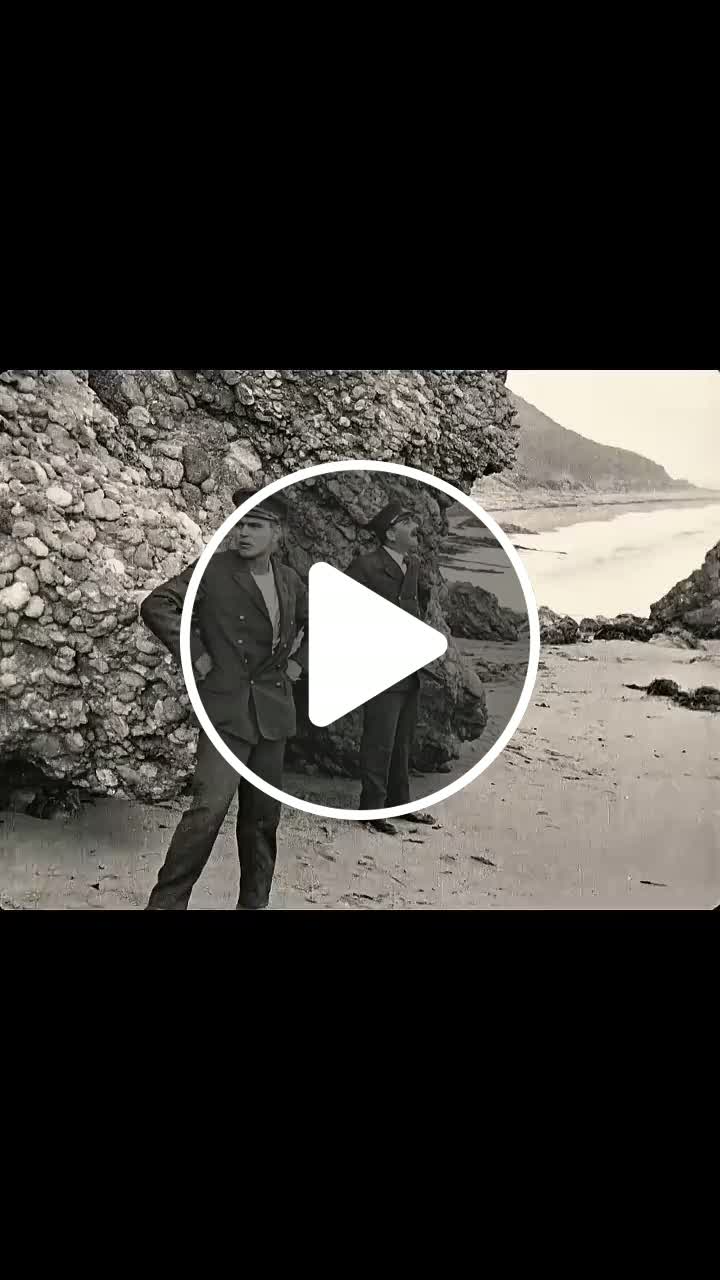 The funniest video ever—nonstop laughter, unexpected moments, and pure ...