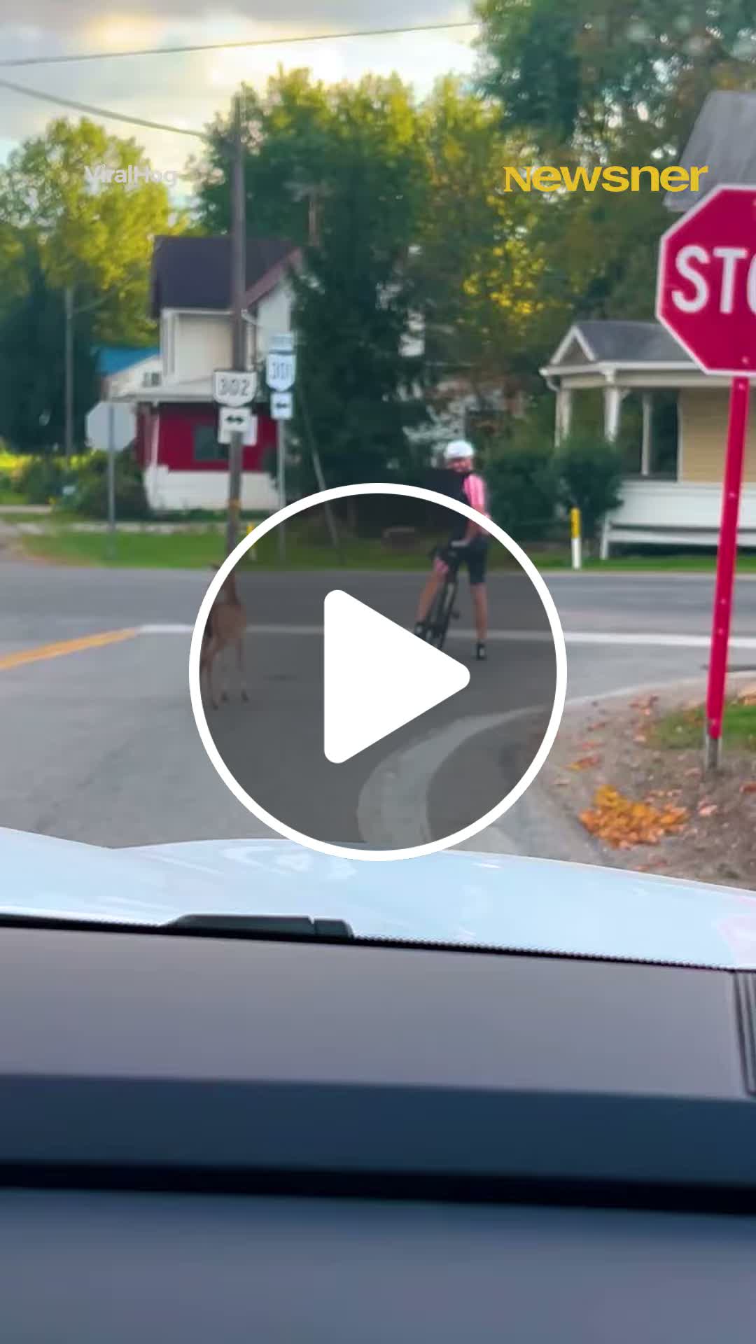 What an unexpected cycling duo - NewsBreak
