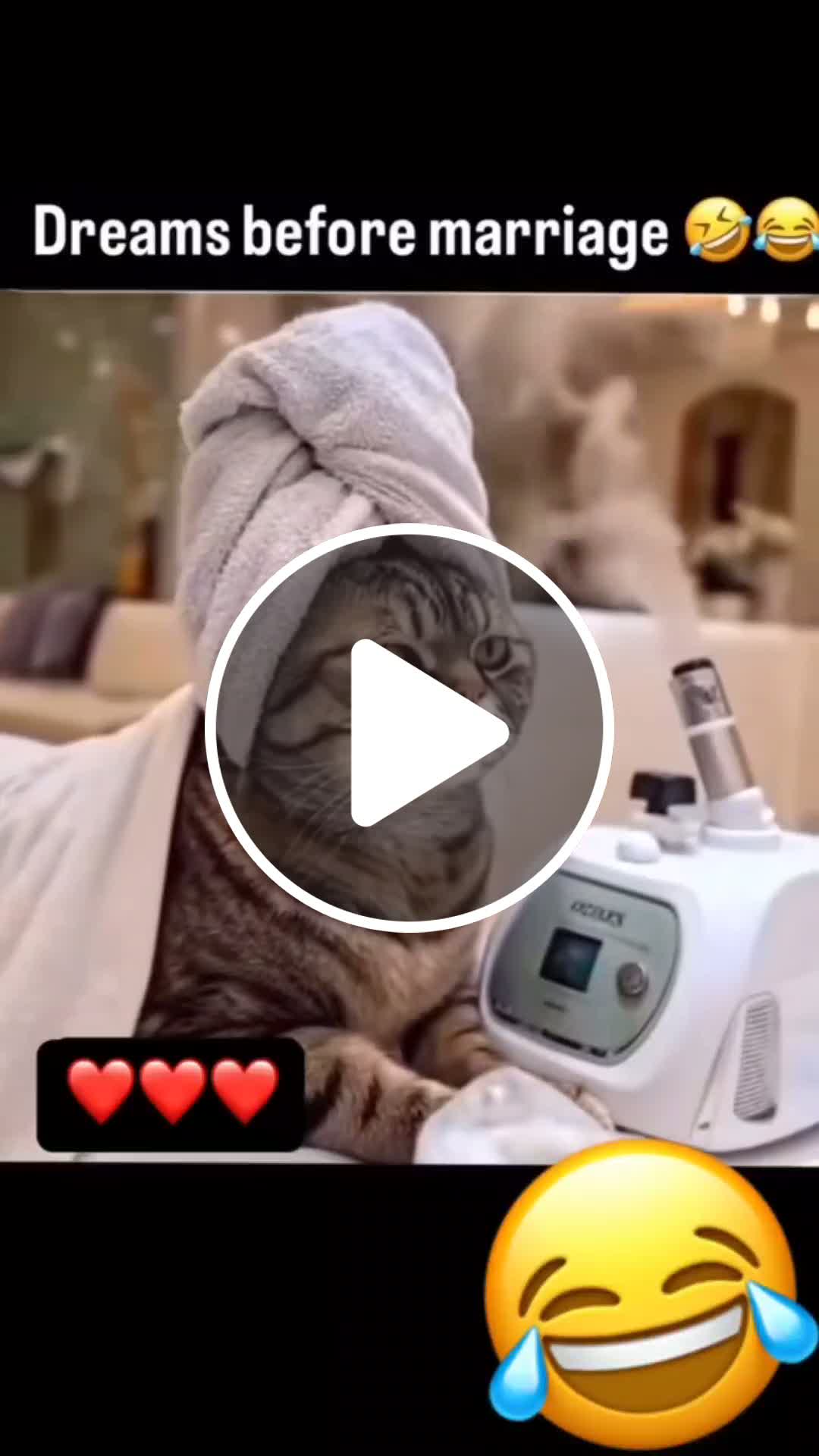 💥Married Life Be Like 💥#funny#realtalk#ai#laugh - NewsBreak