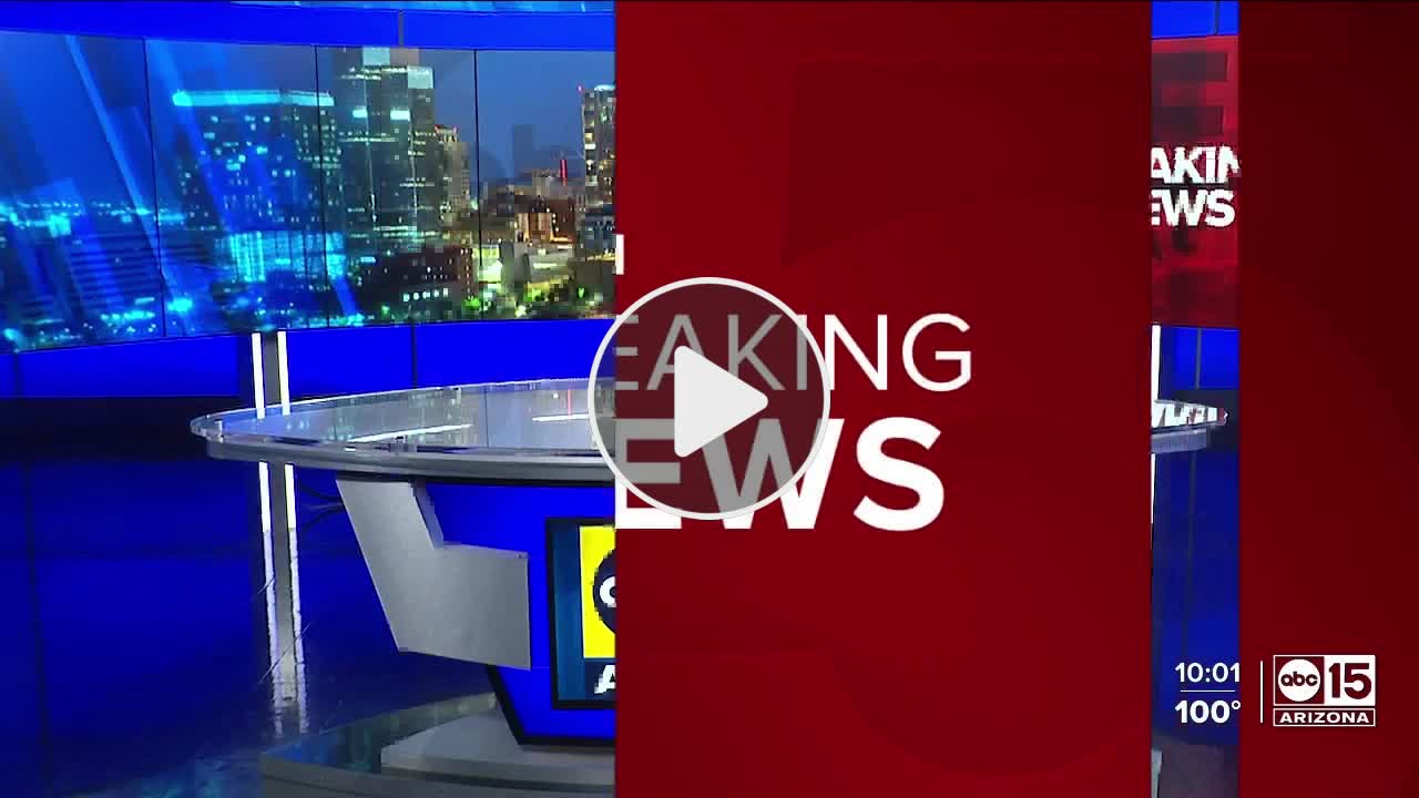 Moo Deng the Baby Hippo Predicts 2024 U.S. Election Winner In a ...