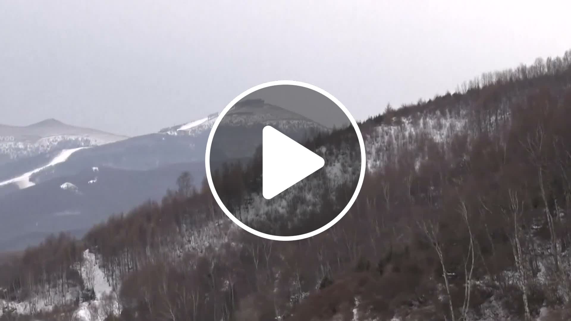 Prince William County Schools approve girls flag football - NewsBreak