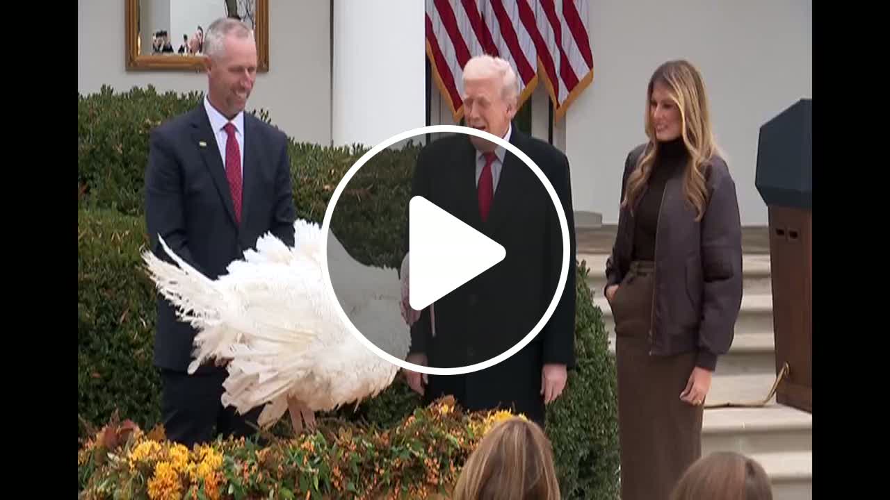 In latest dishing out of pardons, Trump keeps Gobble and Waddle off the ...