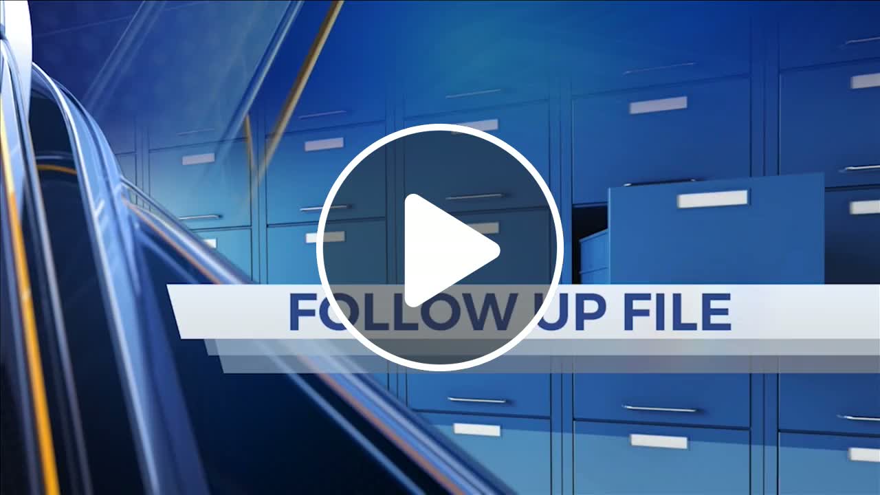 Where is Junie? Family cat goes missing amid Amazon delivery - NewsBreak