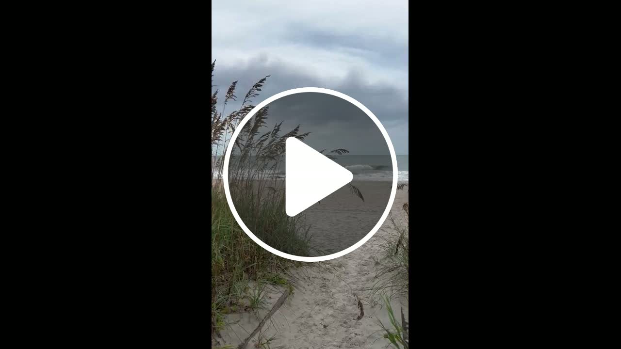 Serene coastal pathway at Huntington Beach State Park, Murrells Inlet ...