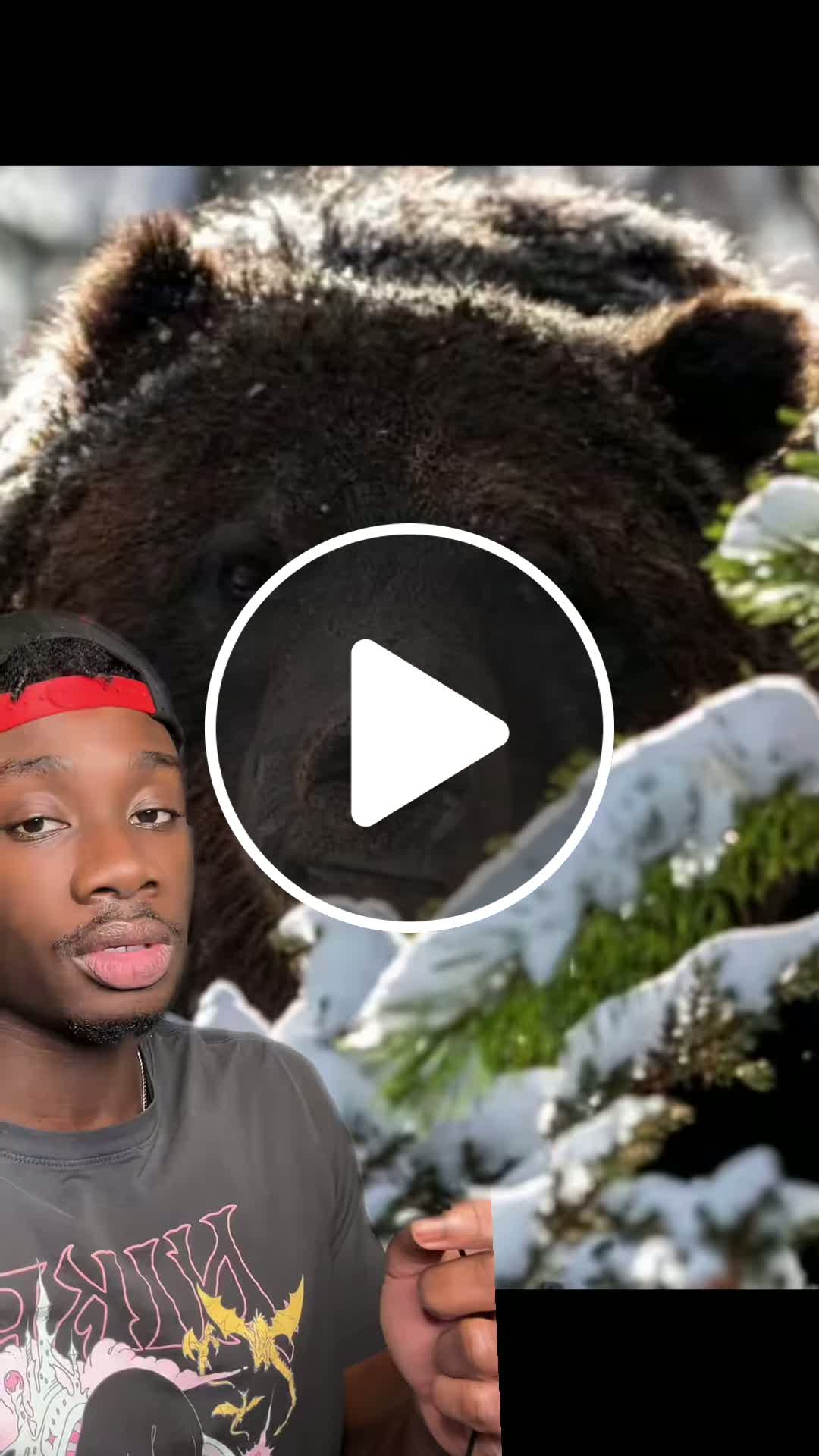 Waiting on the Split Lip redemption arc #bear#nature#aura#grizzly ...