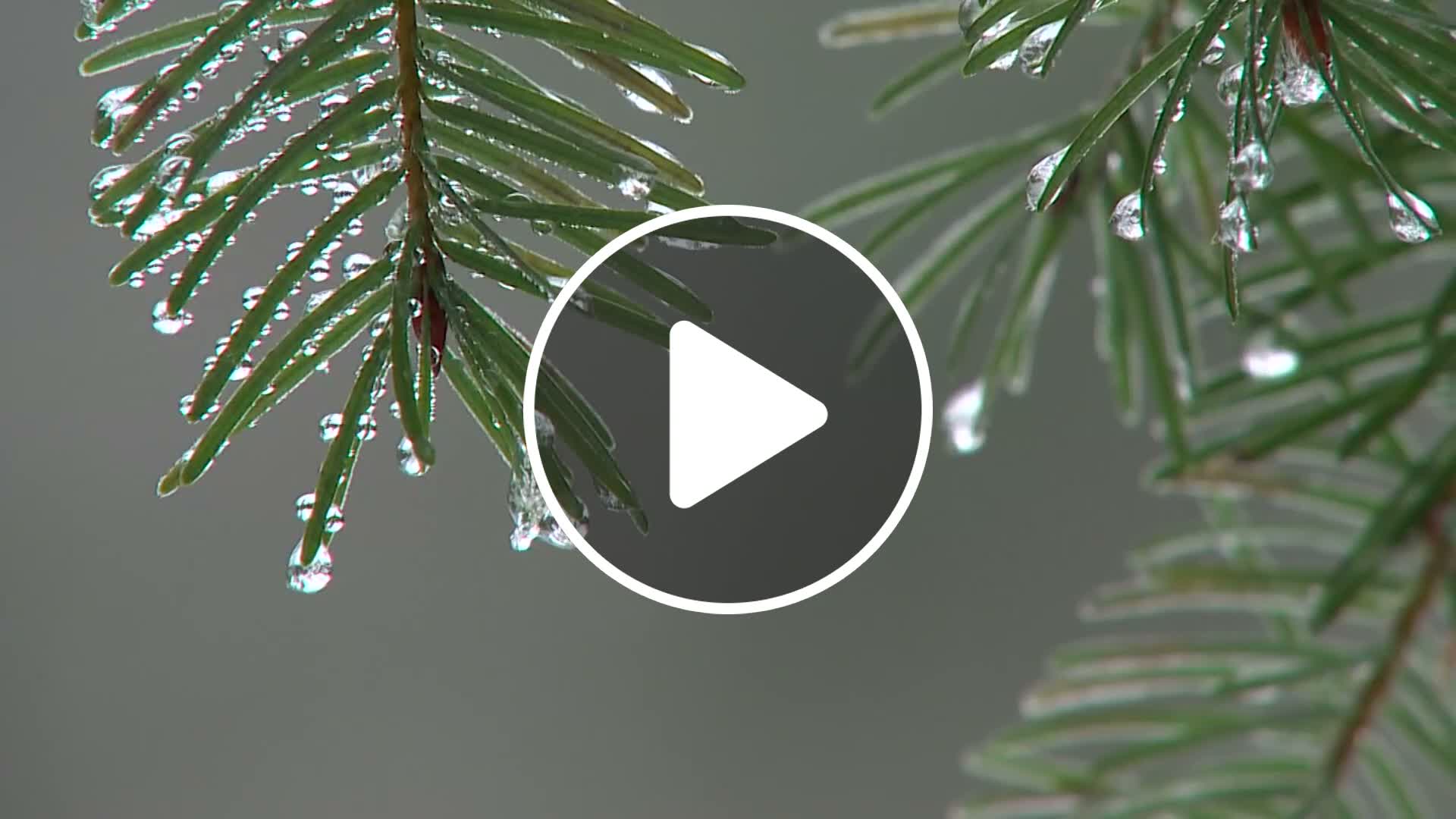 Seattle Children's doctor heading to Paralympic Winter Games - NewsBreak