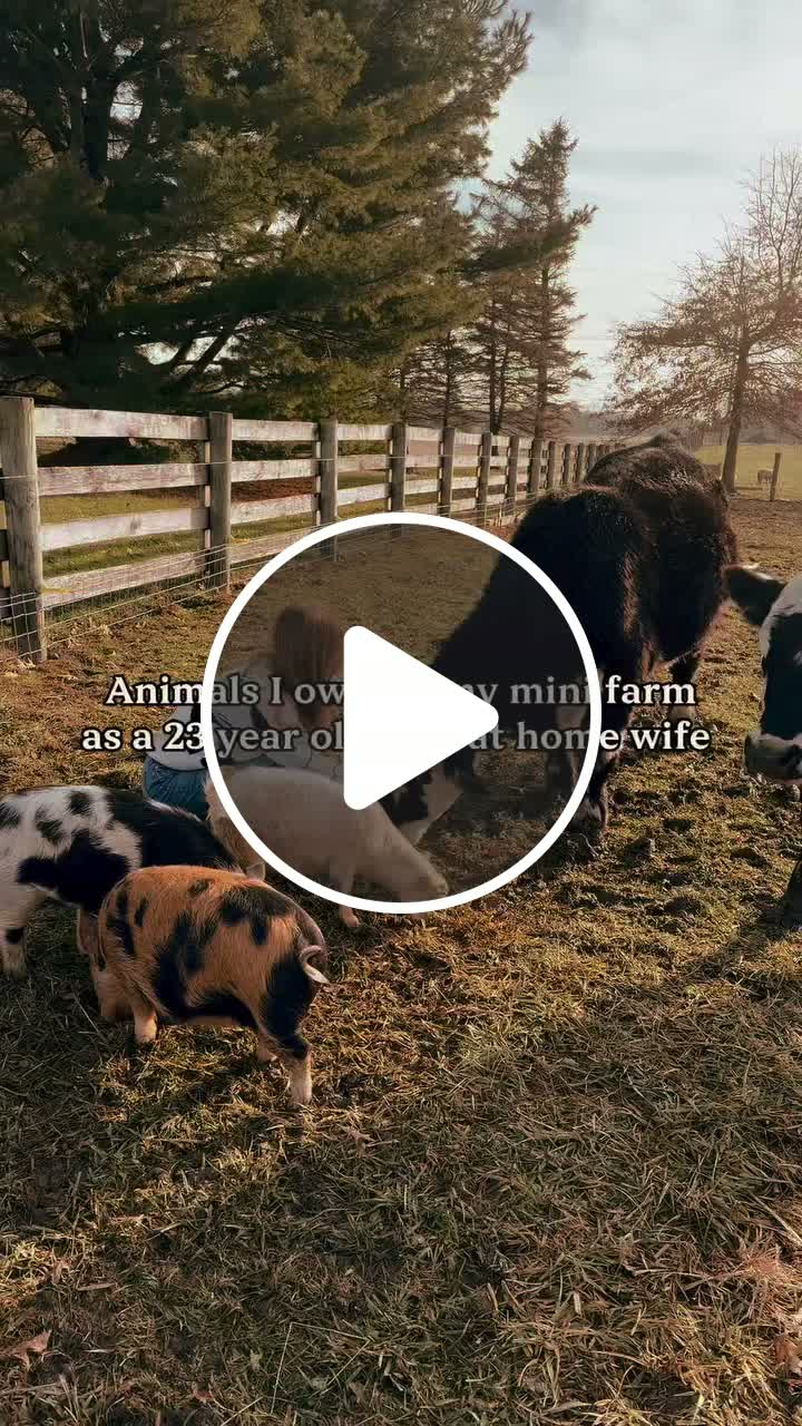 Animals I own on my mini farm as a 23 year old stay at home wife ...