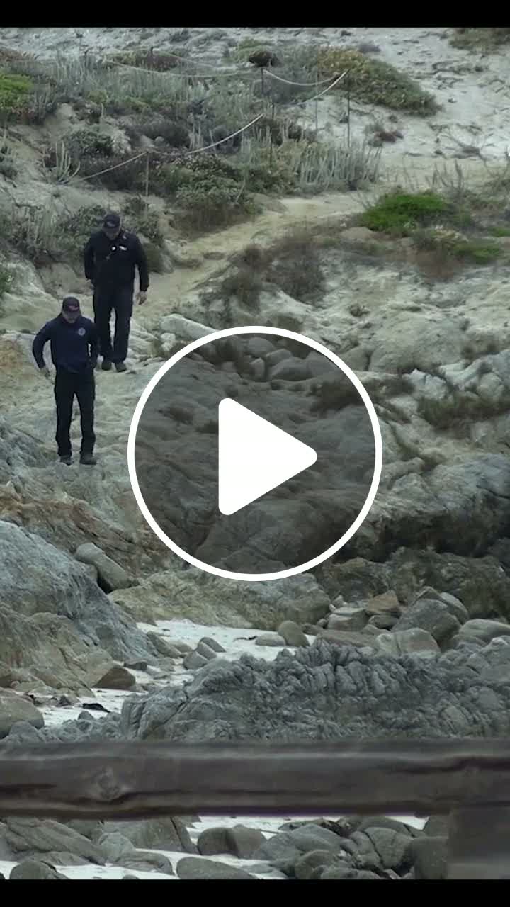 dead in small plane crash in Monterey California in same area where ...